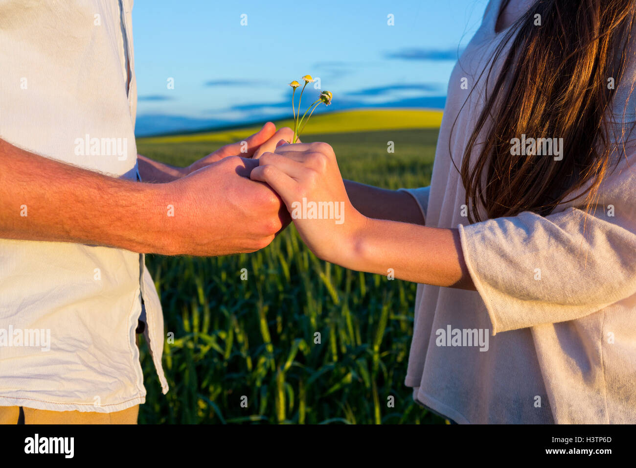 Mid adult couple in field hi-res stock photography and images - Alamy