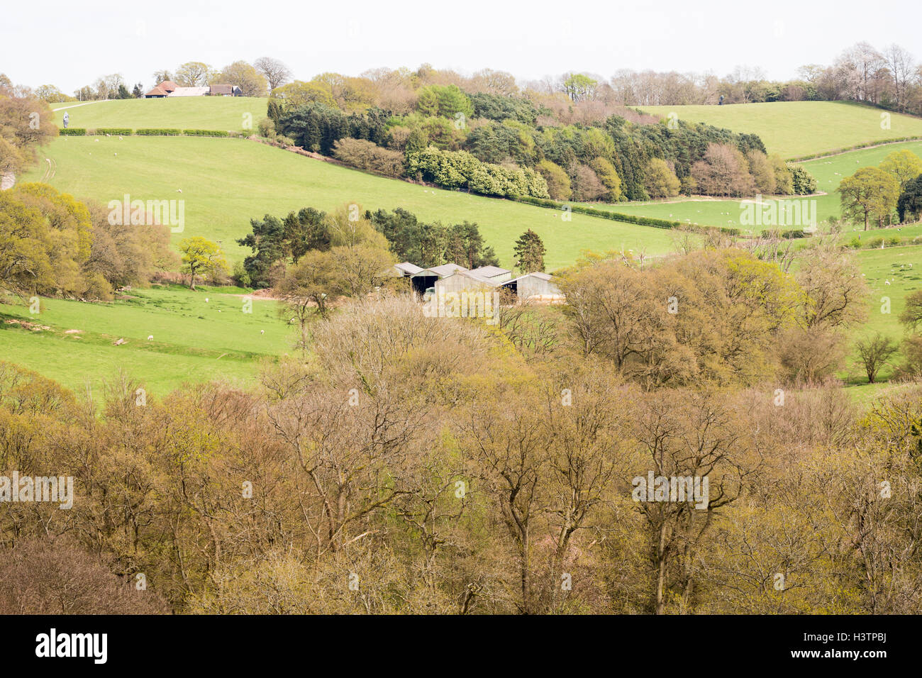 View of pretty Surrey countryside and farmland in spring Stock Photo ...