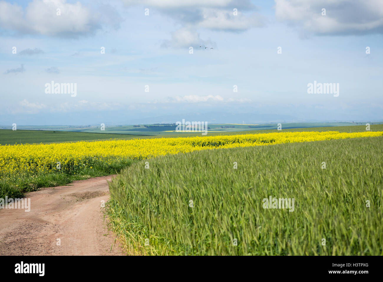Empty path passing through hi-res stock photography and images - Alamy