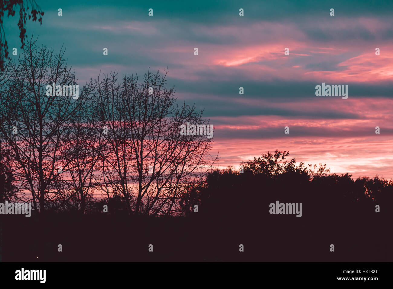 Sunset over the forest Stock Photo - Alamy