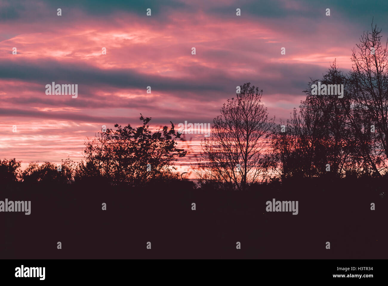 Sunset over the forest Stock Photo - Alamy