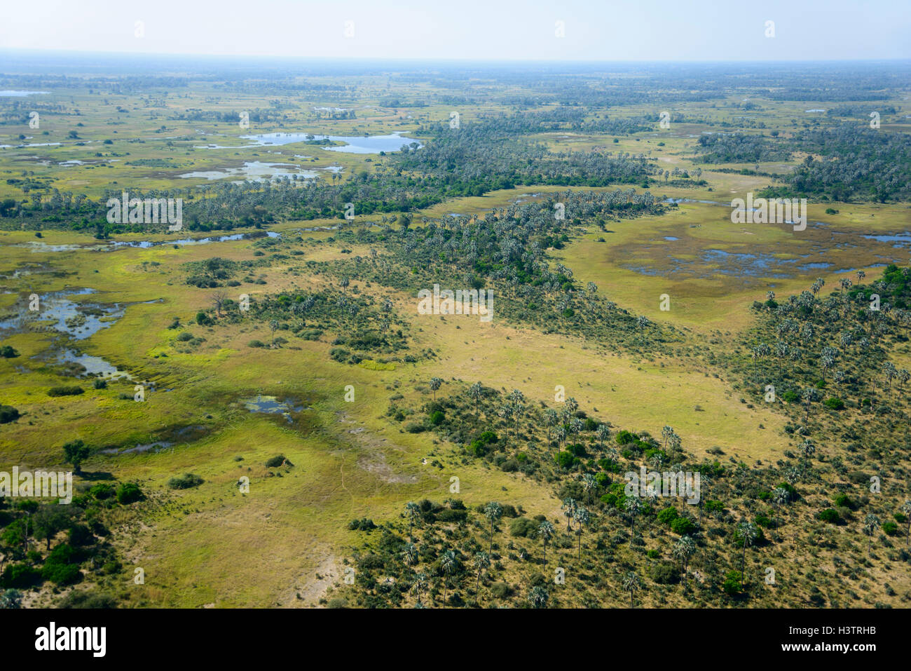 Aerial view, Okavango Delta, Botswana Stock Photo - Alamy