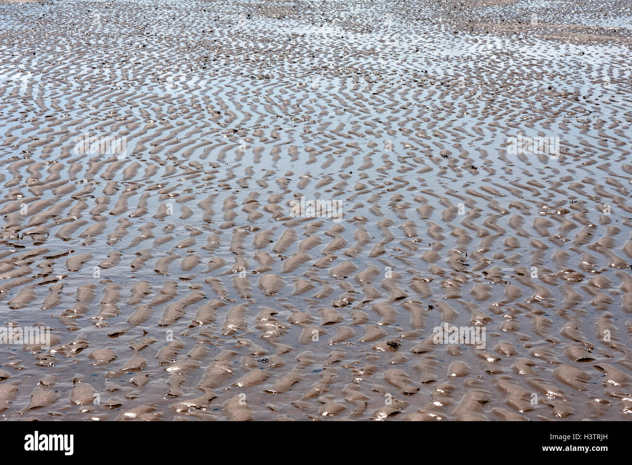 Sand structure at low tide, Atlantic Coast, La Tranche sur Mer, Vandee ...