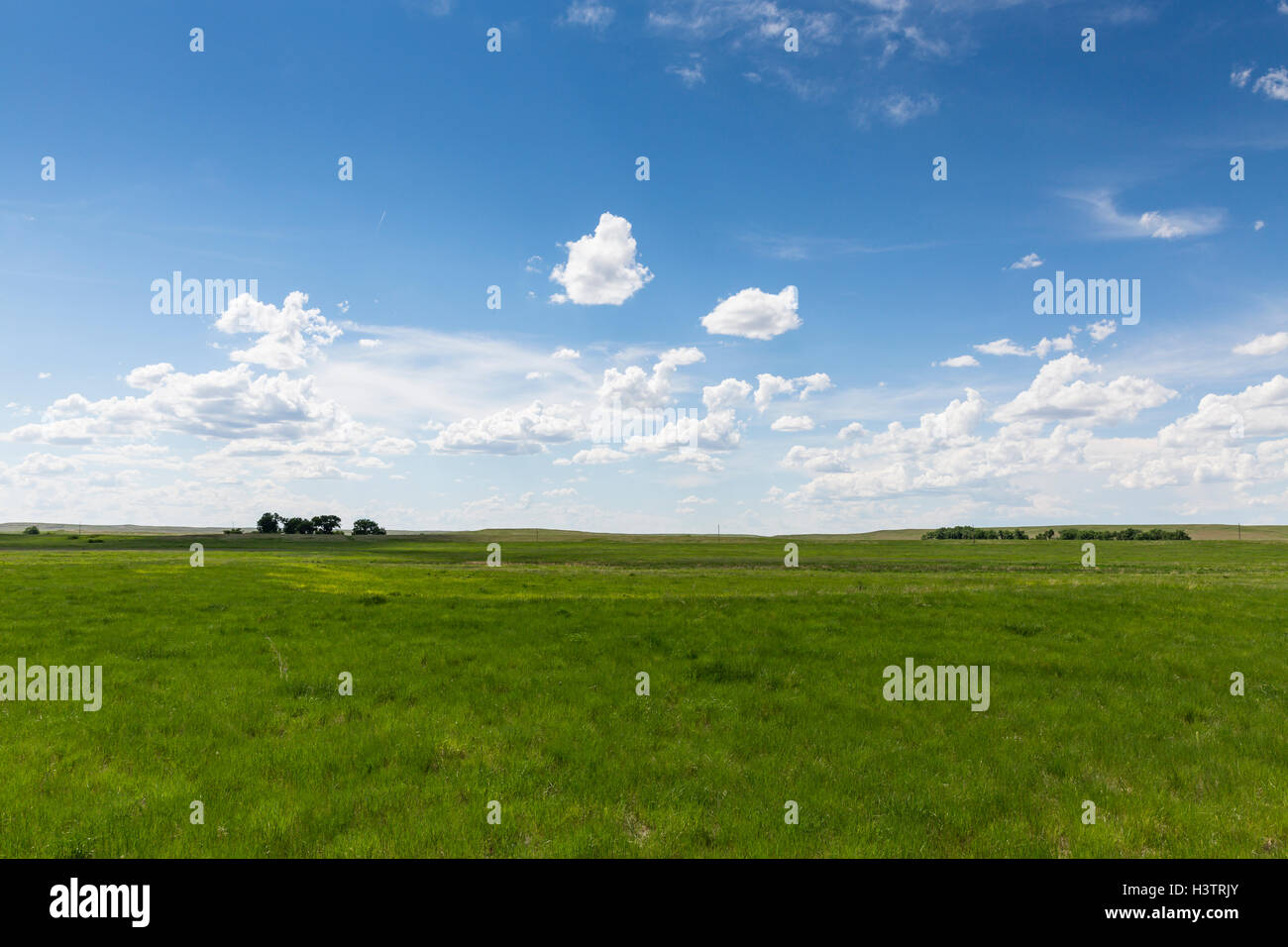 Flat green landscape hi-res stock photography and images - Alamy