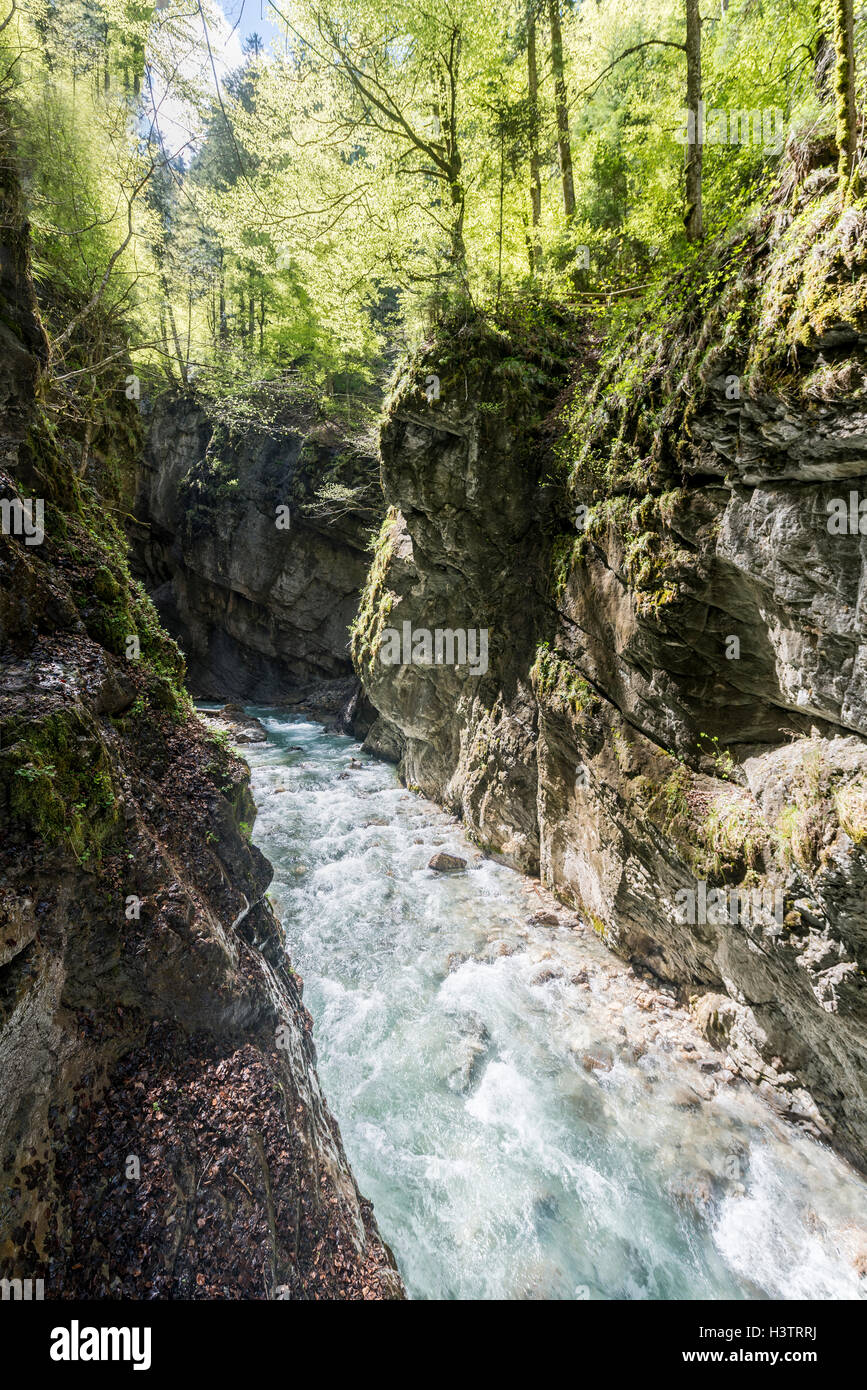 Partnach River flowing into Partnach Gorge, Partnachklamm, Garmisch ...
