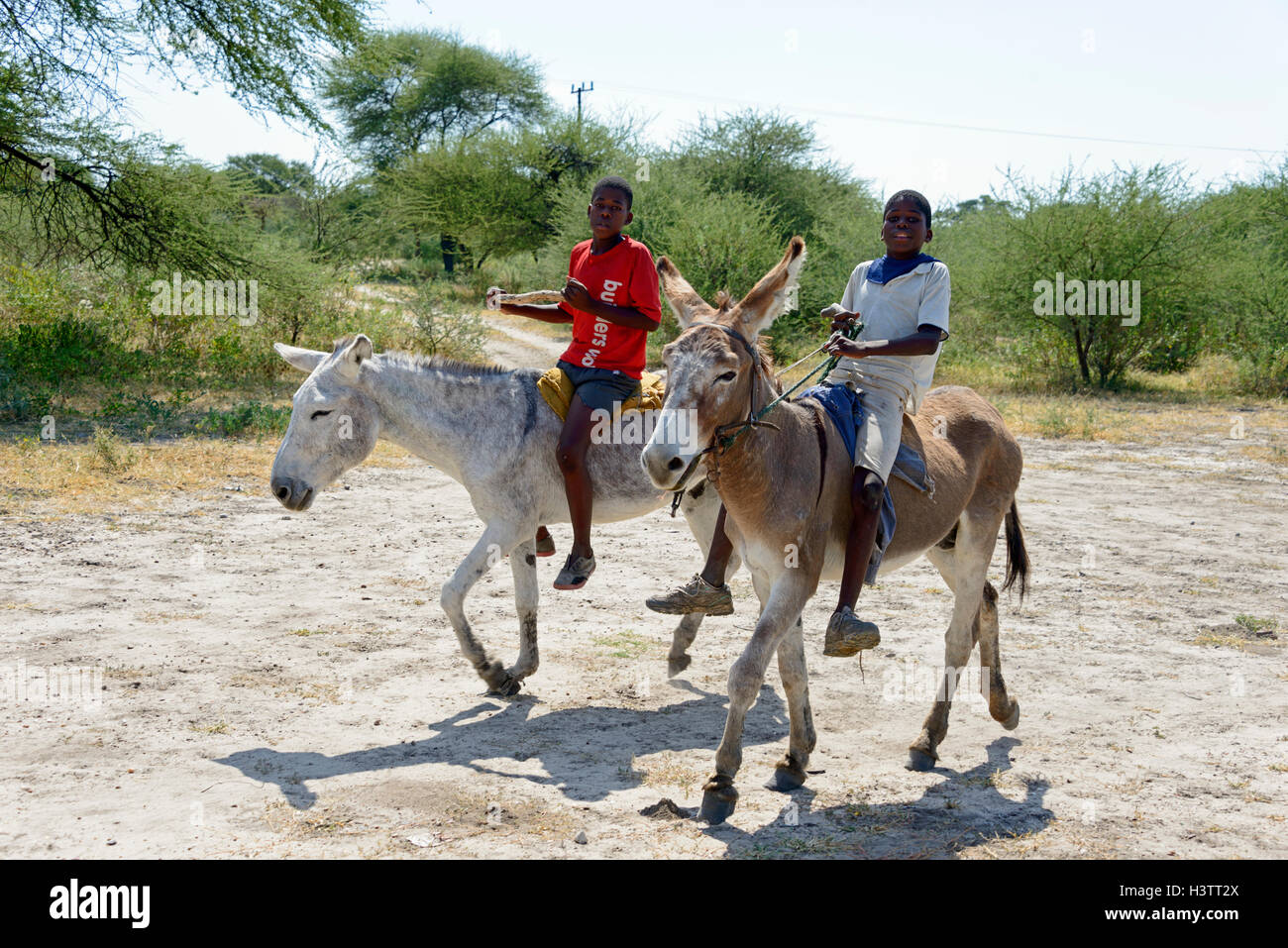 People on donkeys hi-res stock photography and images - Alamy