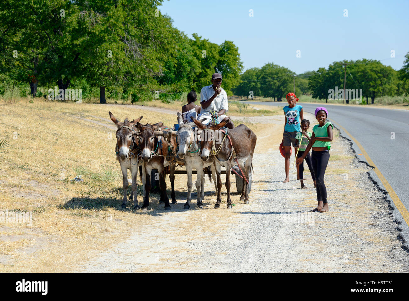 Donkey cart, north of Maun, Botswana Stock Photo - Alamy