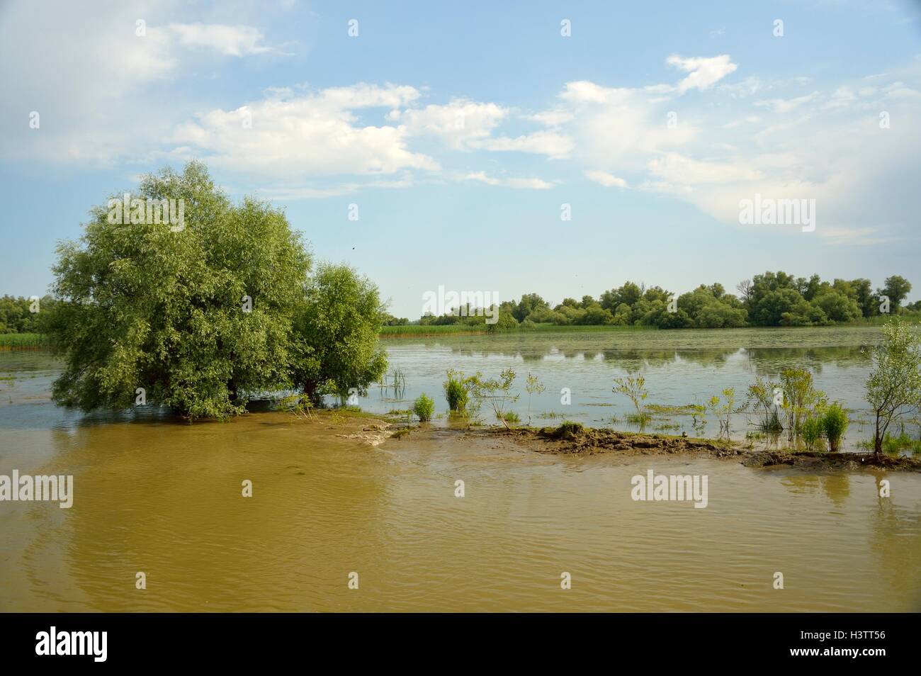 Danube delta romania hi-res stock photography and images - Alamy