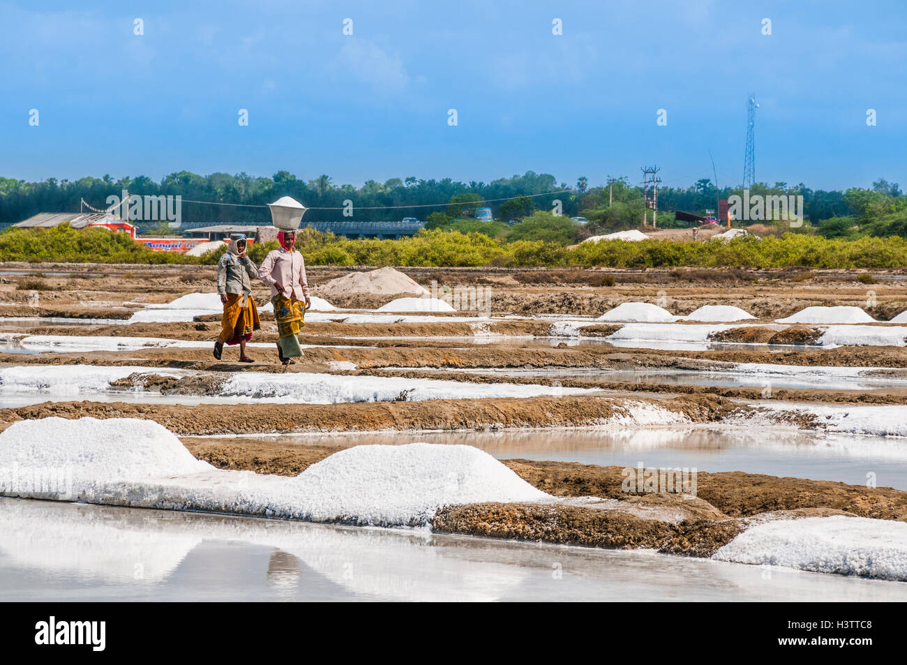 Salt mine workers walking through water basin for salt extraction, salt ...