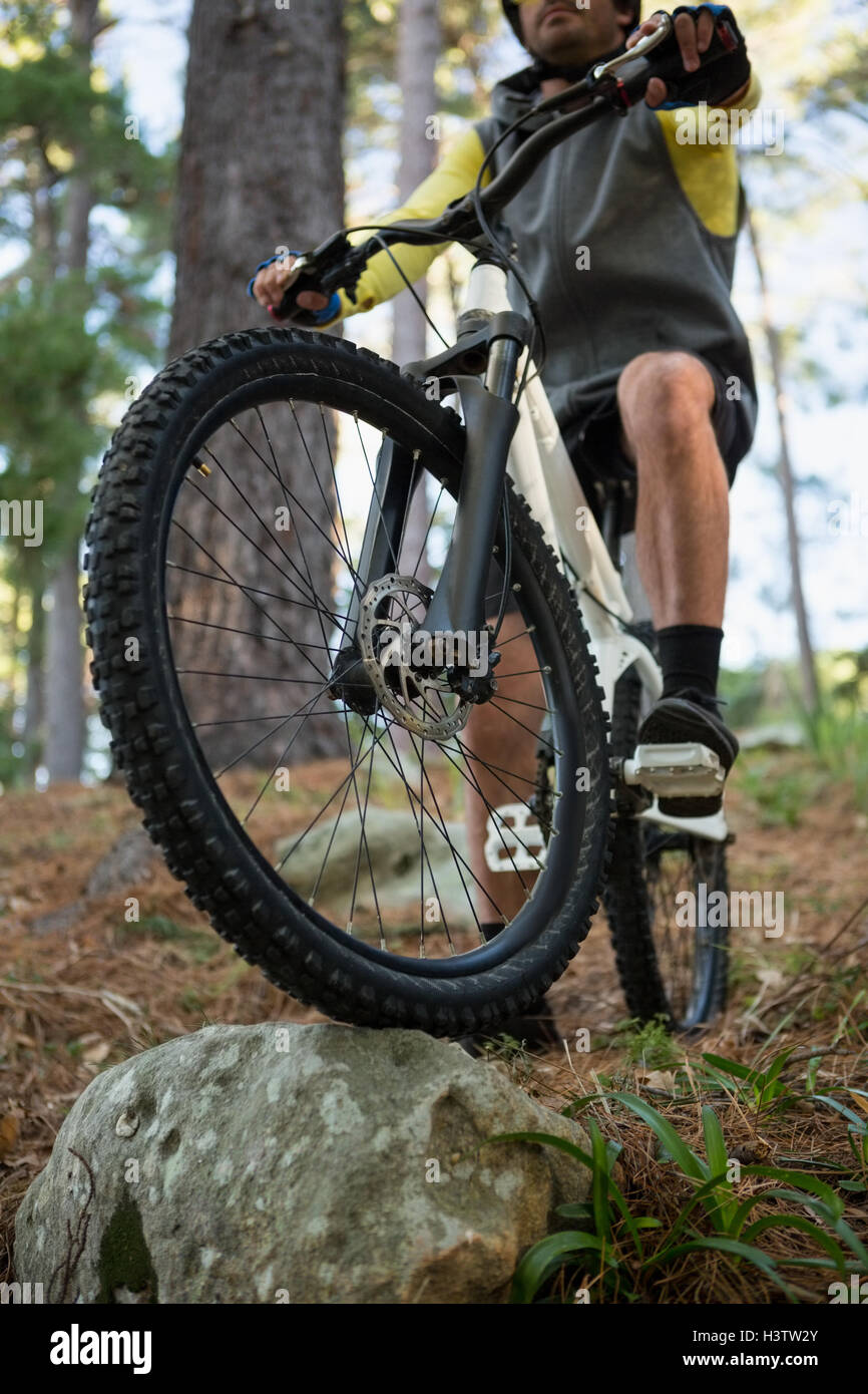 Male mountain biker riding bicycle in the forest Stock Photo - Alamy