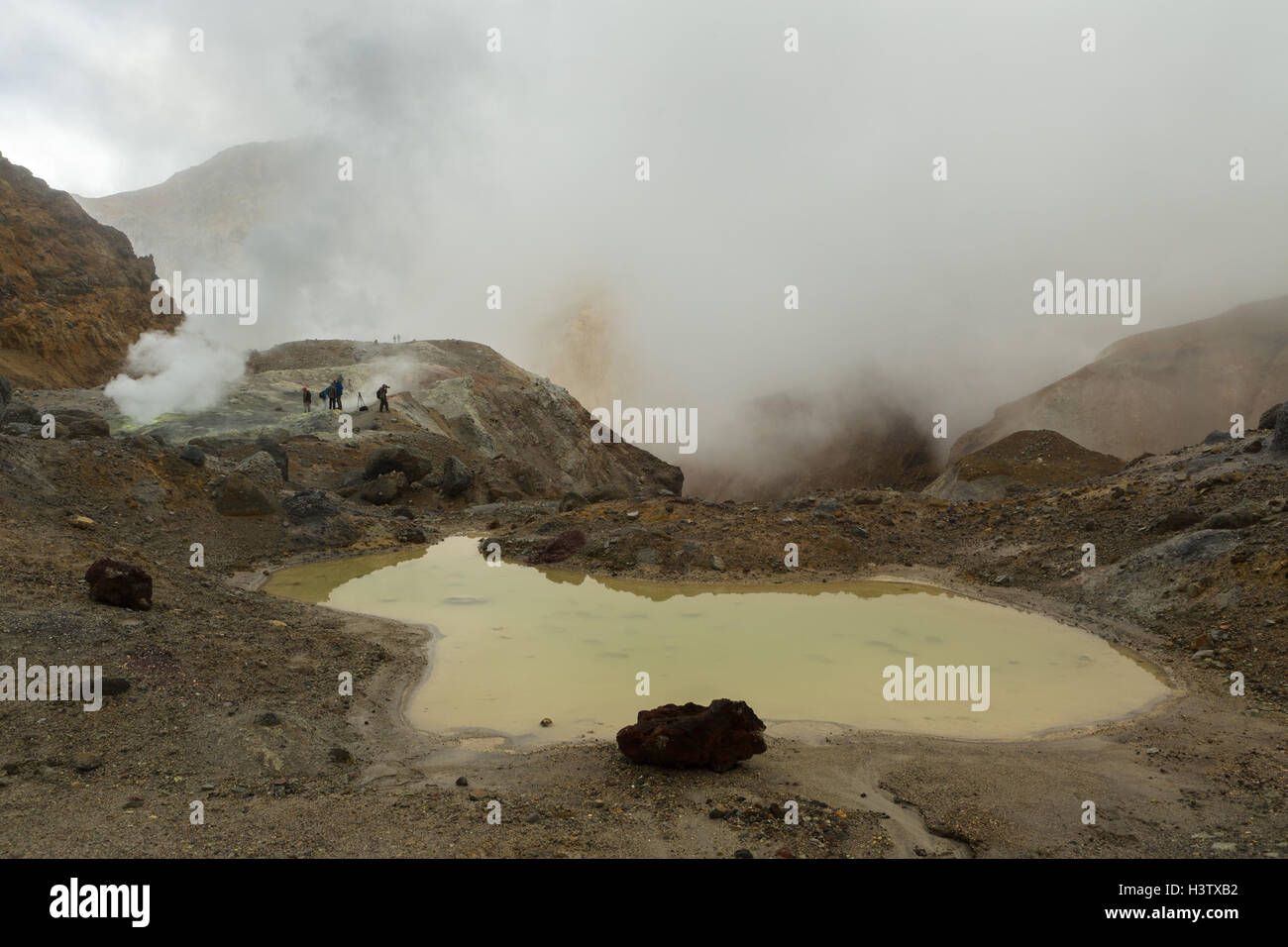 Mud bath in crater of Mutnovsky volcano Stock Photo - Alamy