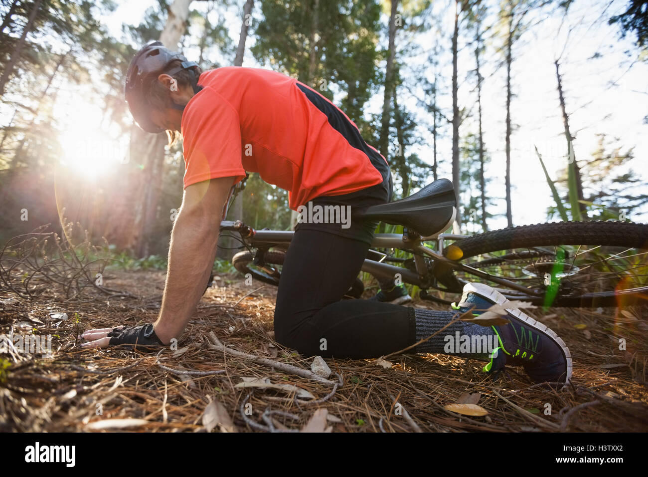 Male mountain biker fallen from his bicycle in the forest Stock Photo ...