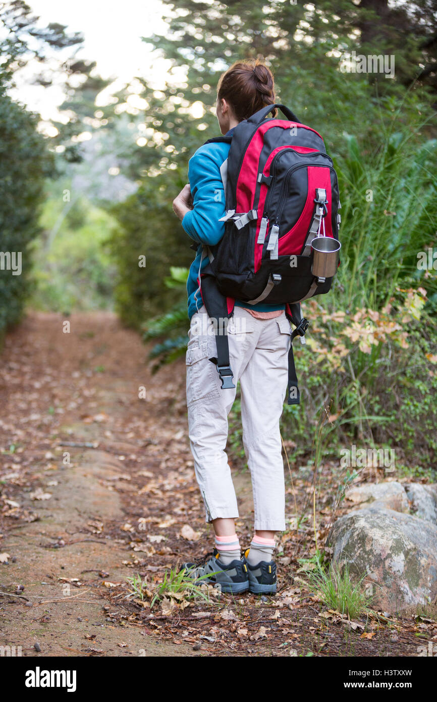 Female hiker walking in forest with backpack Stock Photo - Alamy