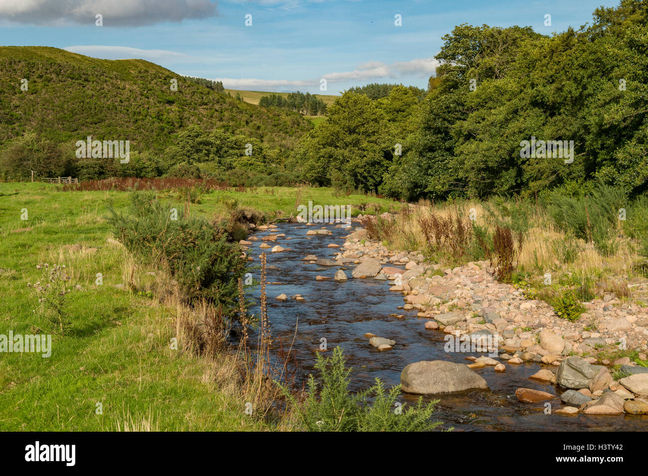Wooler northumberland hi-res stock photography and images - Alamy