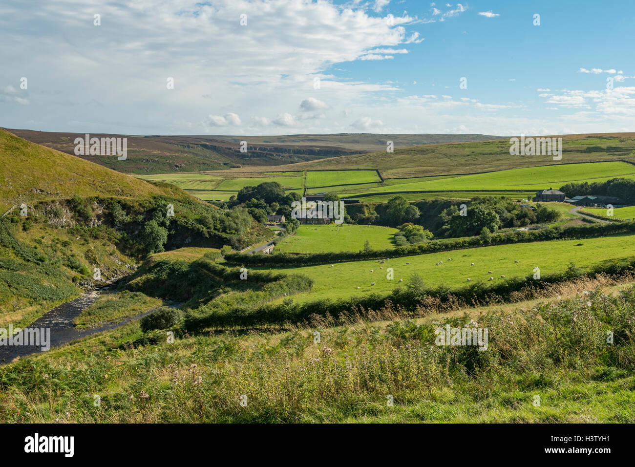The cheviot hi-res stock photography and images - Alamy