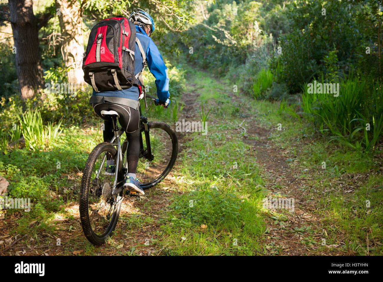 Male mountain biker riding bicycle in the forest Stock Photo - Alamy