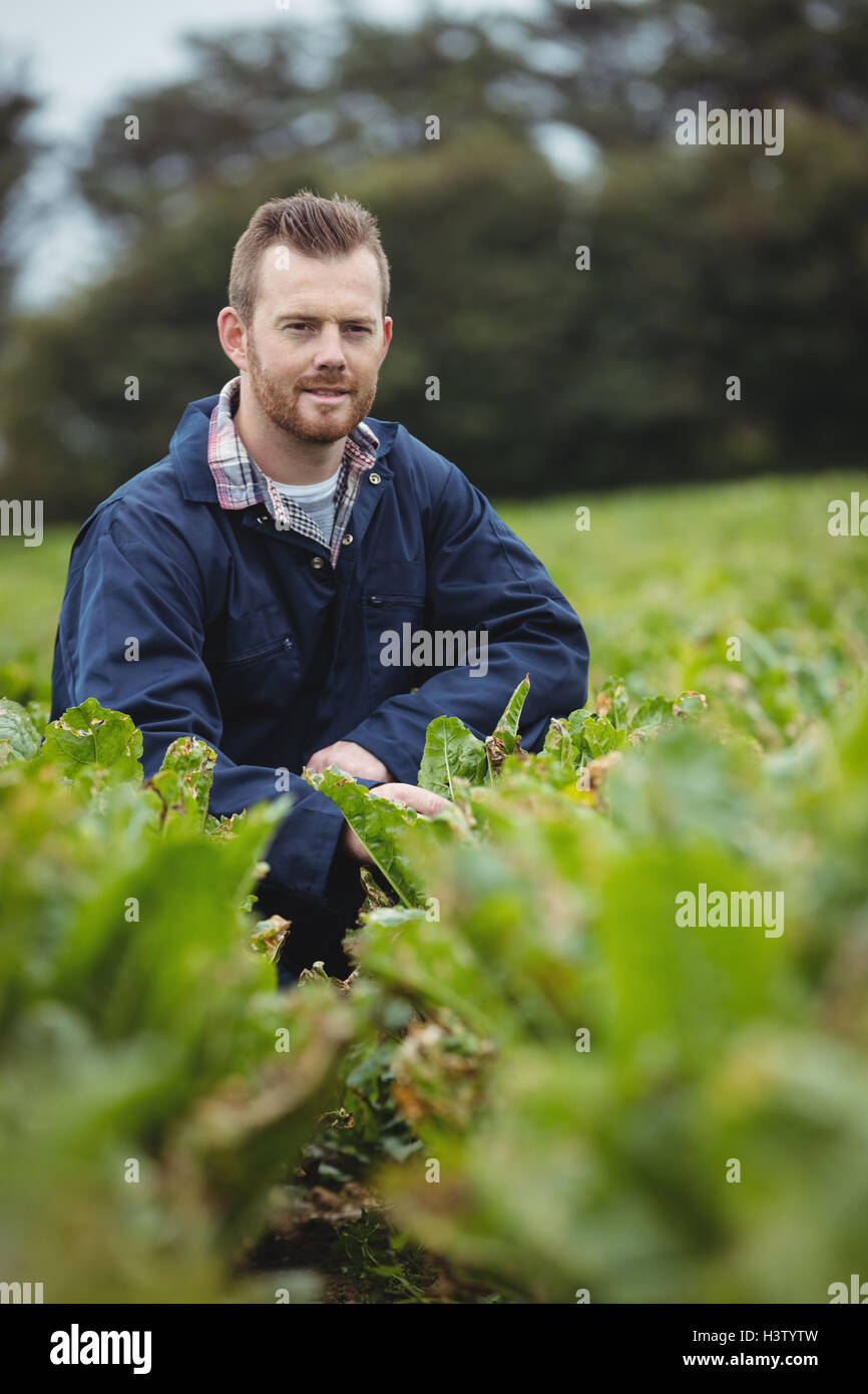 Male farmer plantation checking hi-res stock photography and images - Alamy