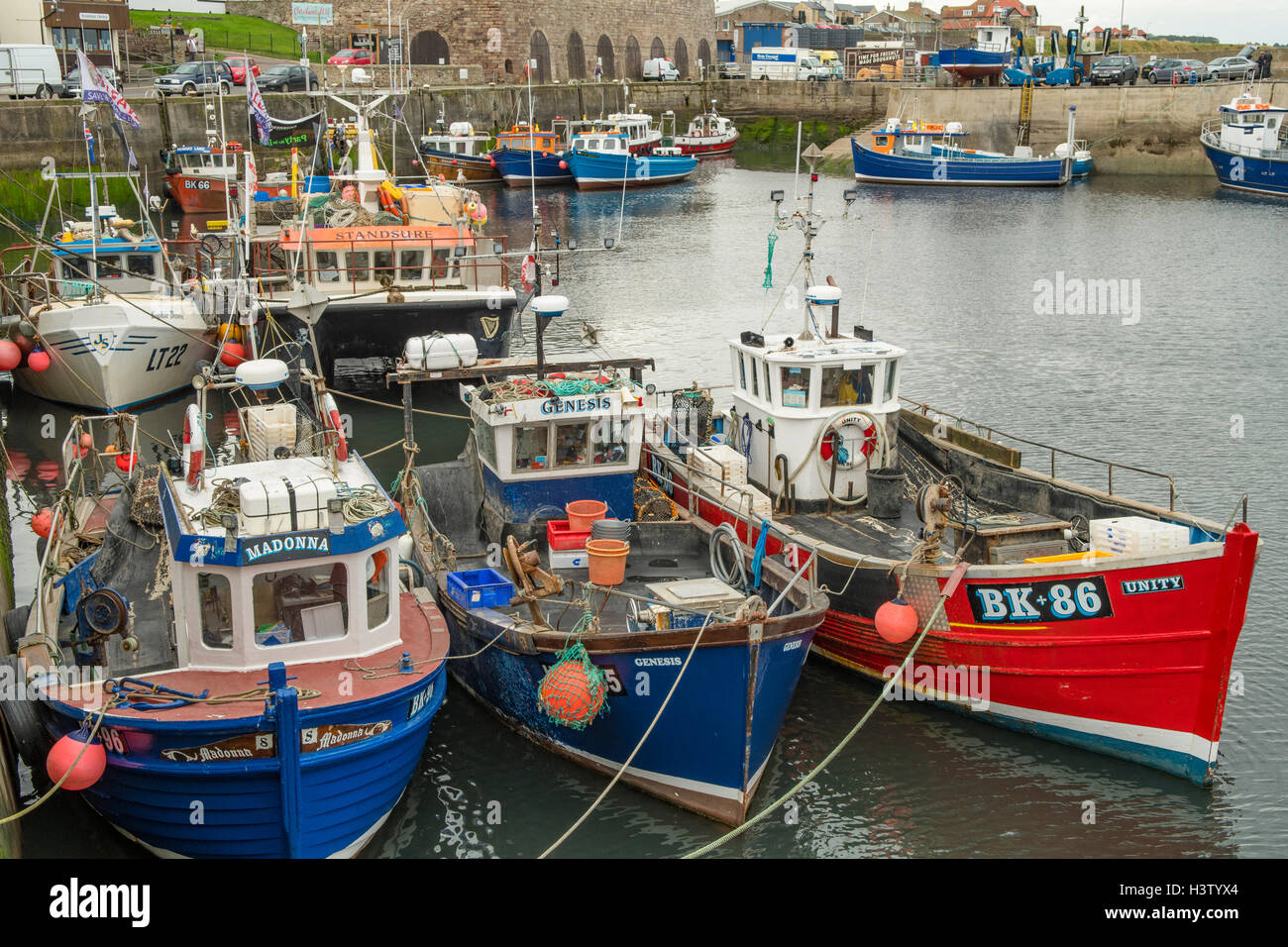 Harbour at Seahouses, Northumberland, England Stock Photo - Alamy
