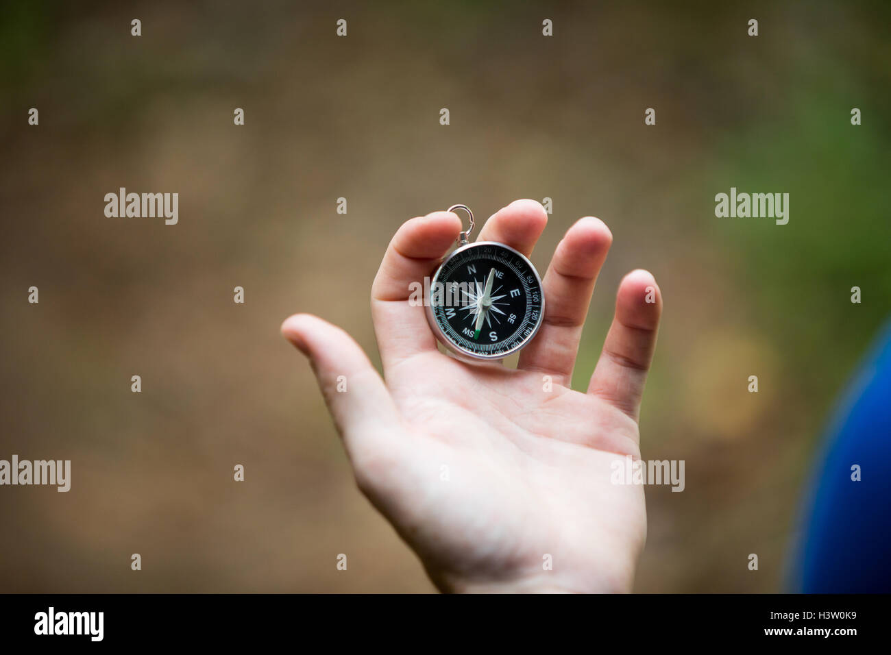 Hand holding compass in forest Stock Photo - Alamy