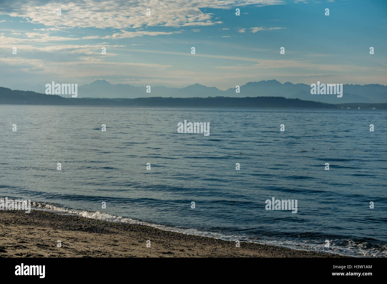 The Olympic Mountains as seen from Alki Beach in West Seattle Stock ...