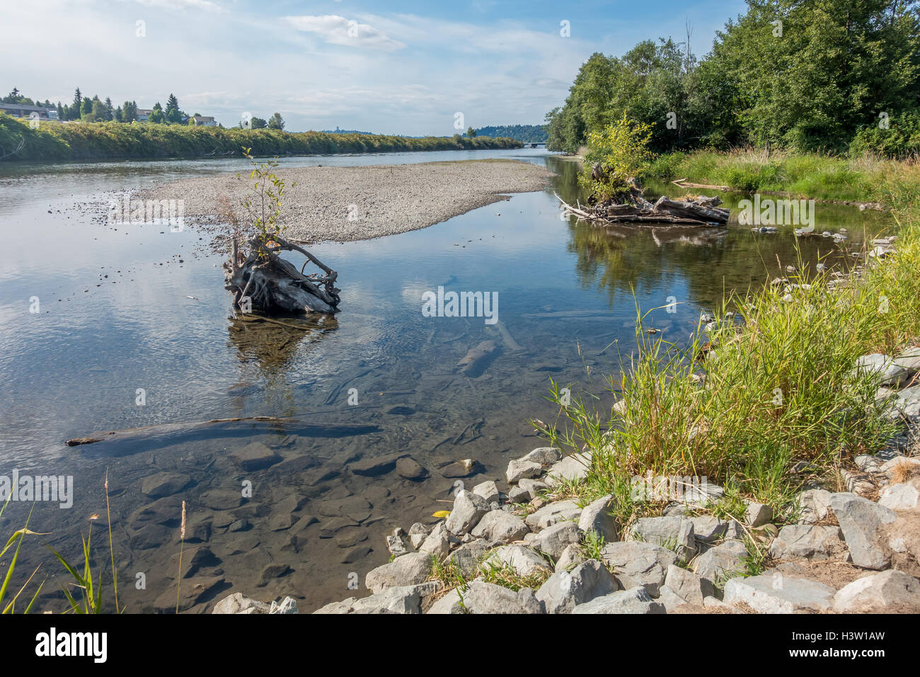 Cedar river hi-res stock photography and images - Alamy