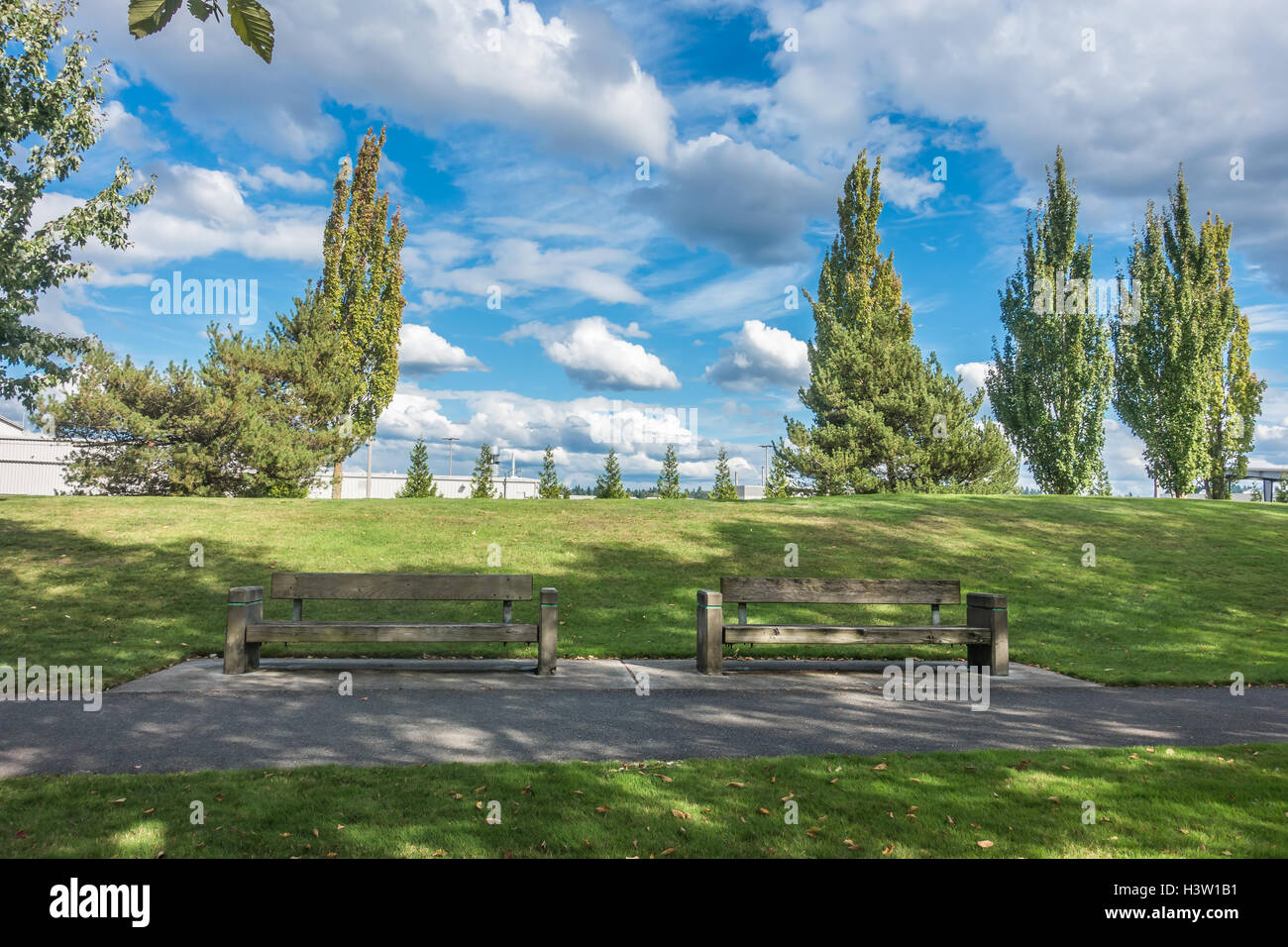 Trees and park benches hi-res stock photography and images - Alamy