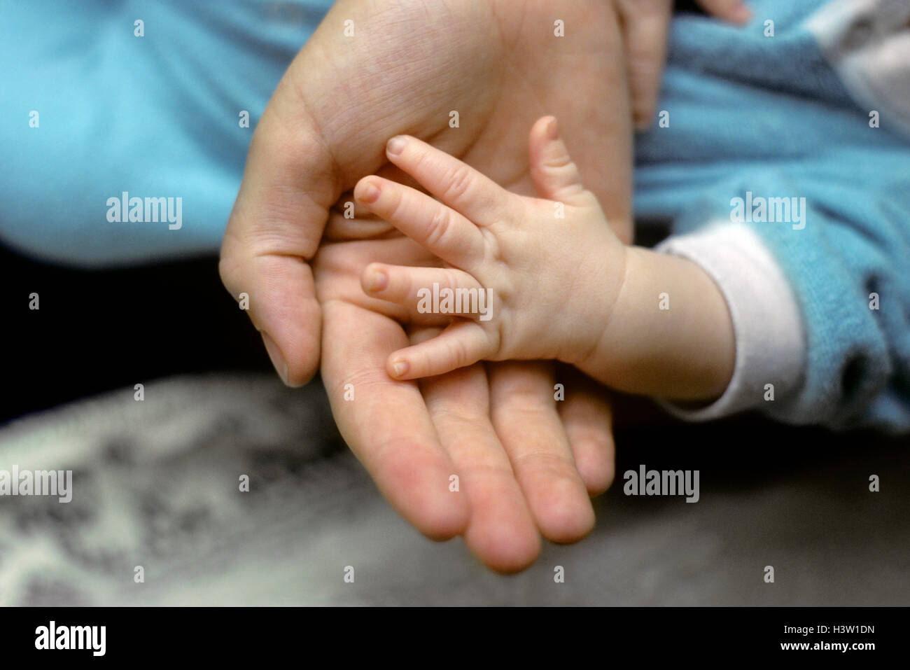 ADULT HAND HOLDING AN INFANT HAND Stock Photo - Alamy