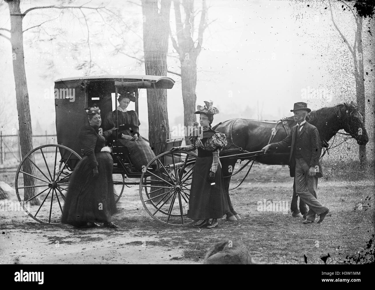 Horse Drawn Carriage 1900