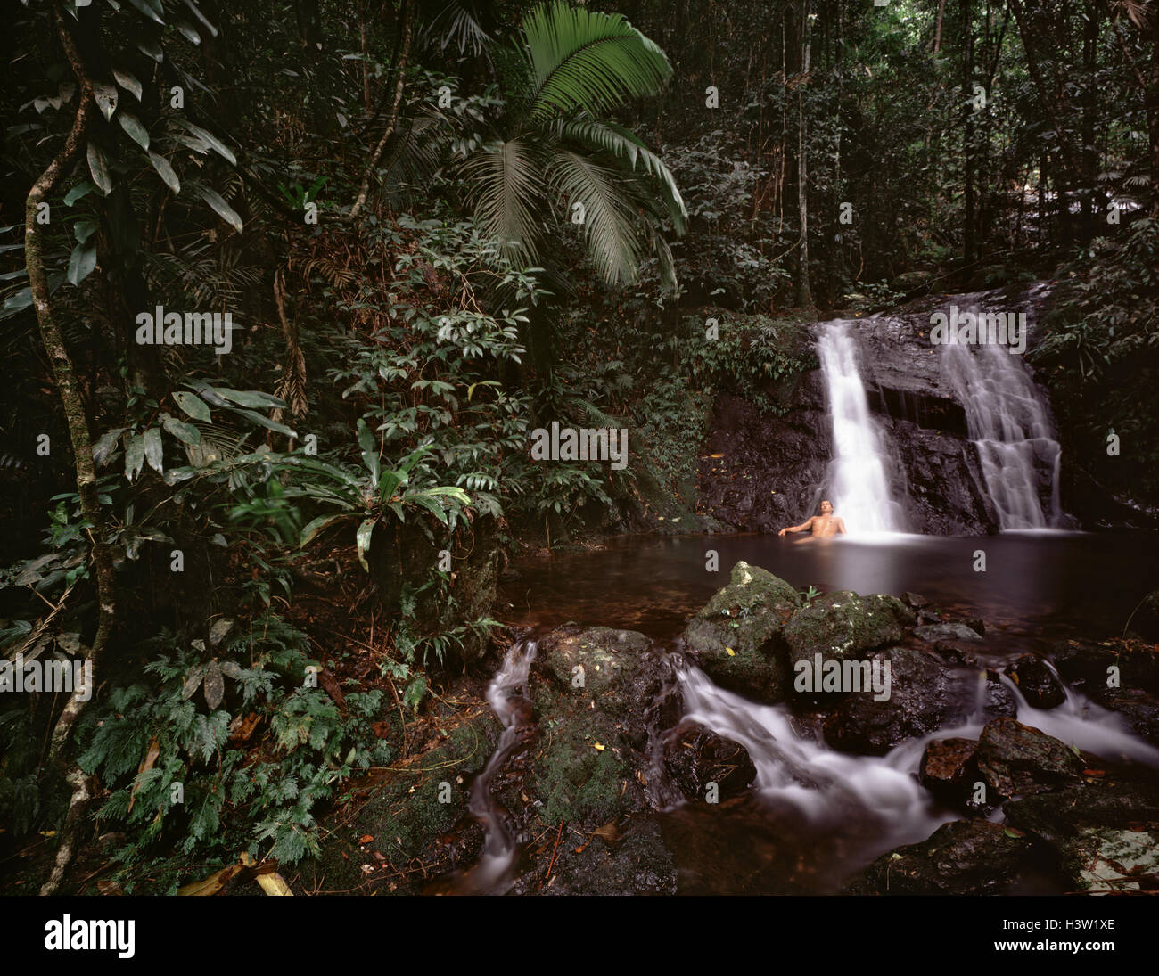 Swimmer in a rainforest pool Stock Photo - Alamy
