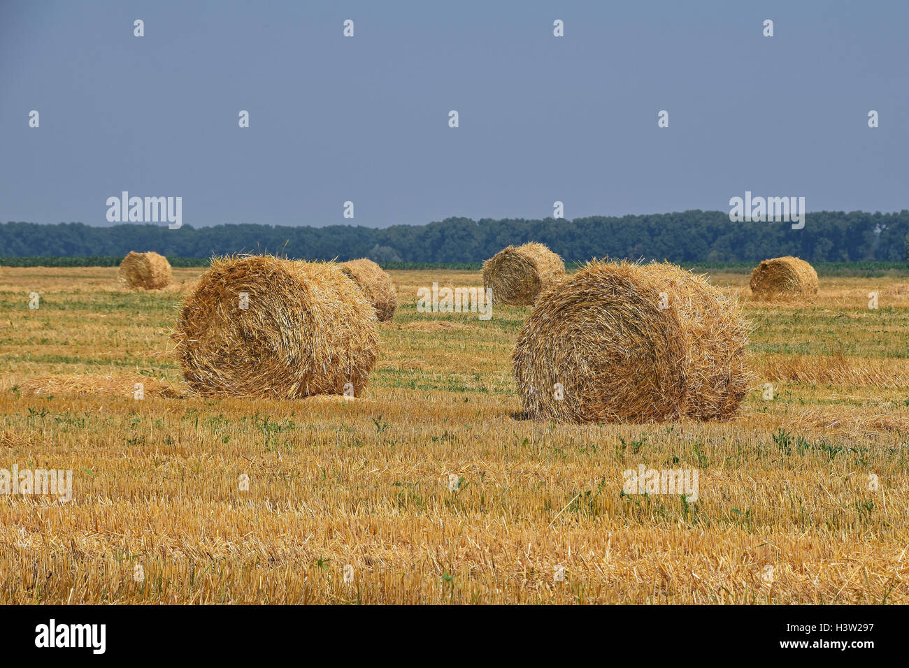 Hay and straw hi-res stock photography and images - Alamy