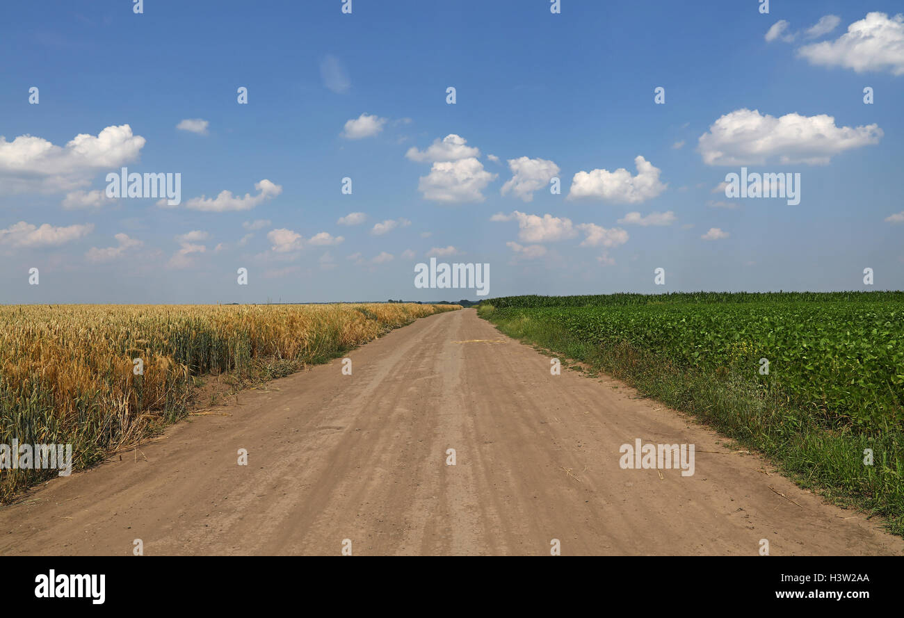 Landscape in rural farming area with earth ground road to horizon ...