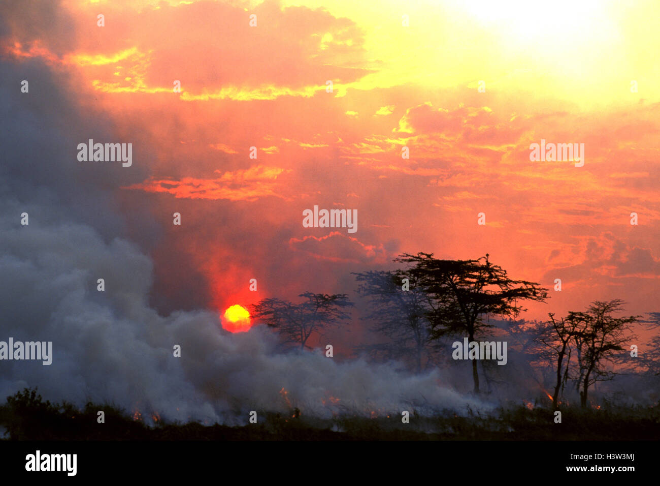 Masai Traditional Fire High Resolution Stock Photography and Images - Alamy