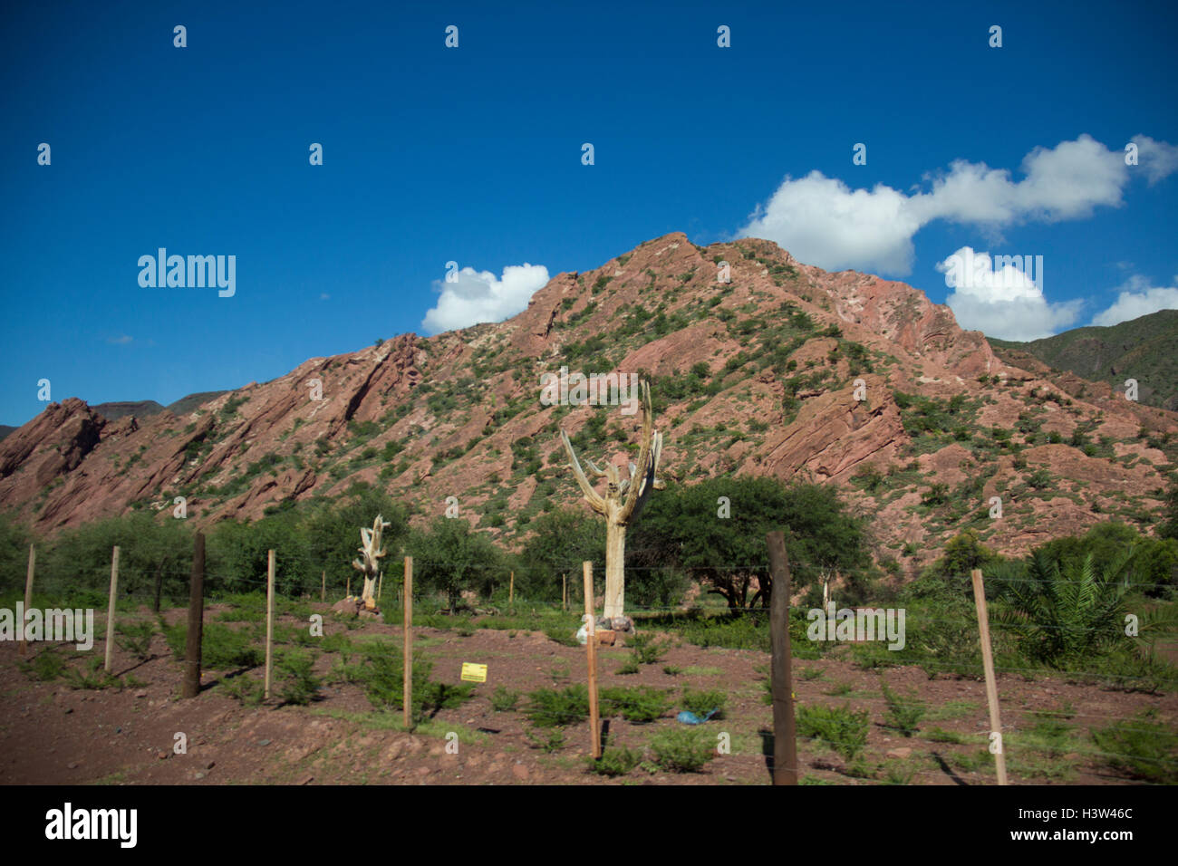 Indigenous people of salta hi-res stock photography and images - Alamy