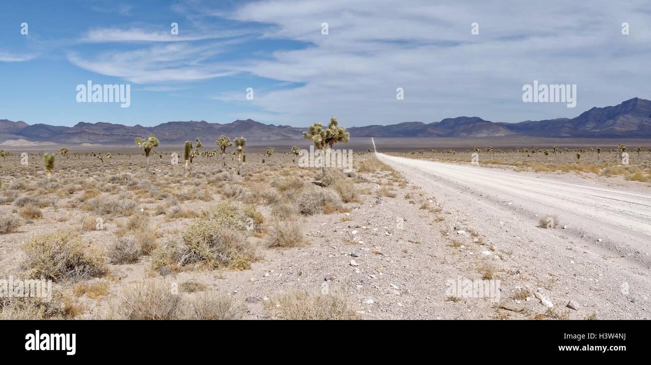 Area 51 nevada hi-res stock photography and images - Alamy