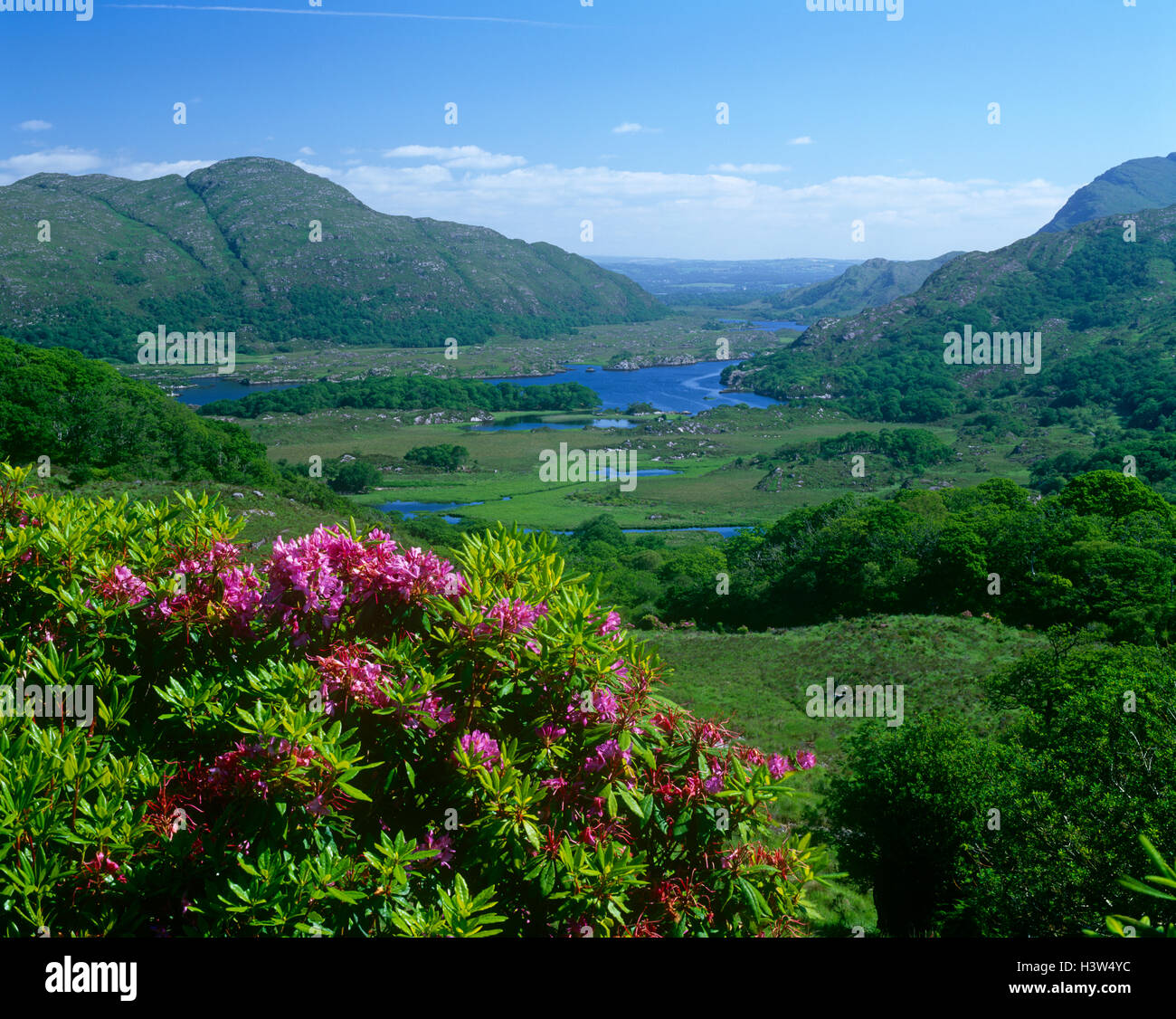 Ladies view kerry hi-res stock photography and images - Alamy
