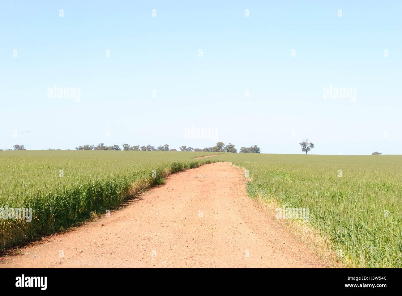 Road between crops hi-res stock photography and images - Alamy