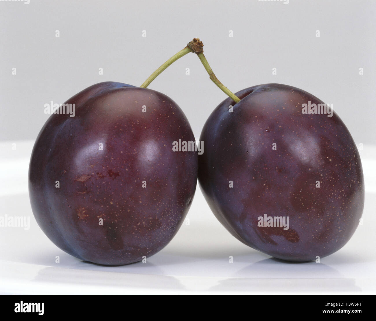 Plum prunus spec hi-res stock photography and images - Alamy