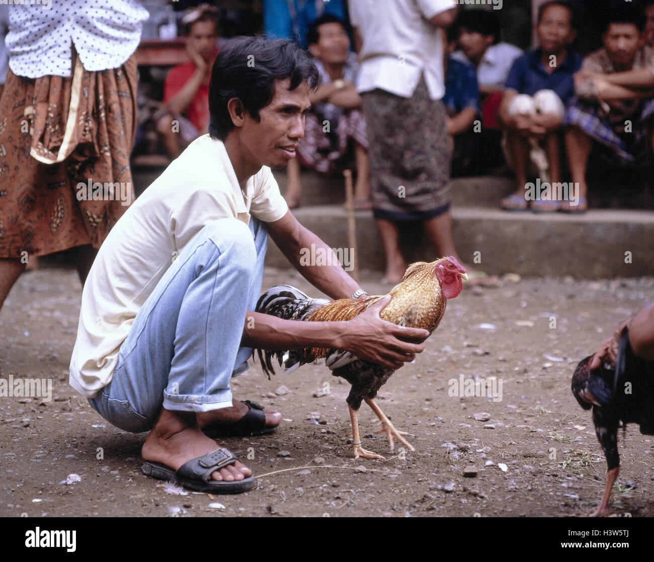 Indonesia, Bali, cockfighting, man, tap, Asia, small Sundainseln ...