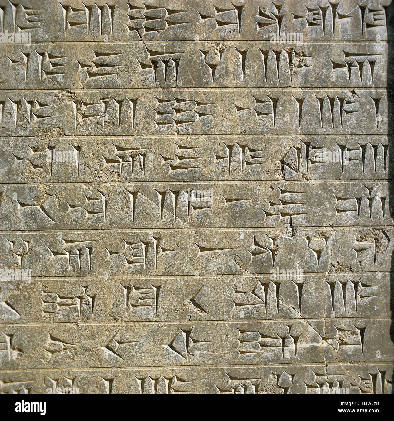 Iran, province Fars, Persepolis, Palace Darius, stairs rising, relief ...