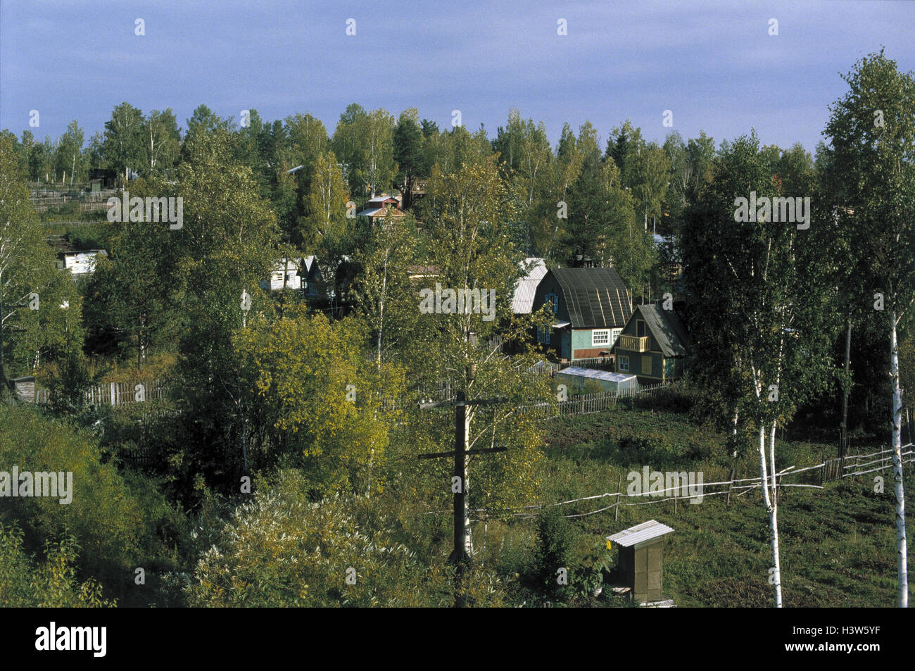 Russia, Siberia, taiga, village, coniferous forest area, coniferous ...