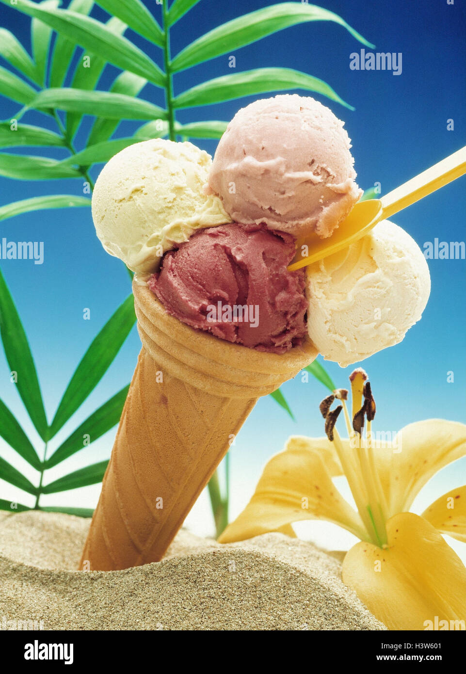 Water ice, waffle, Sand, lily blossom, palm leaves, Still life, product ...