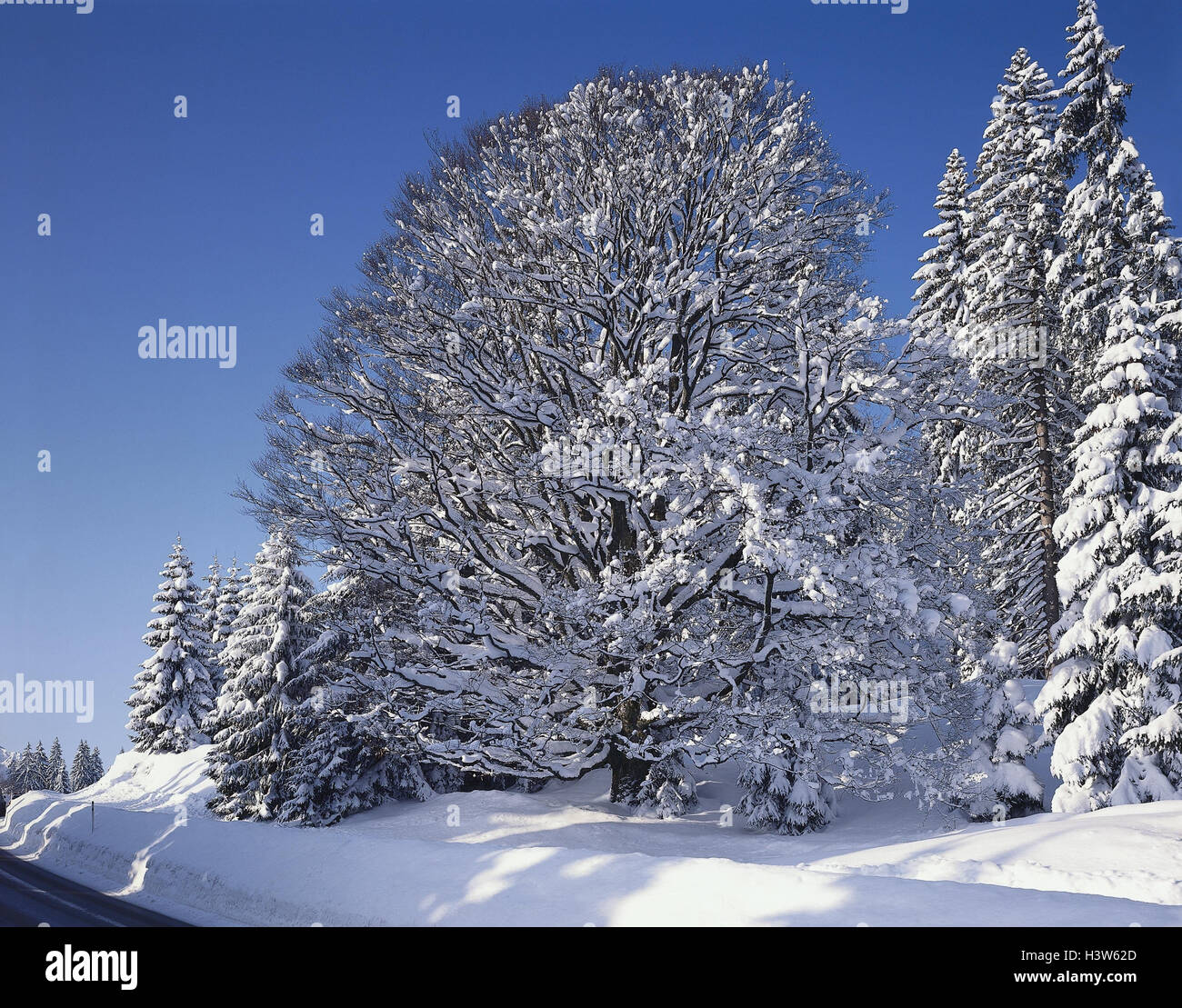 Spec of snow hi-res stock photography and images - Alamy
