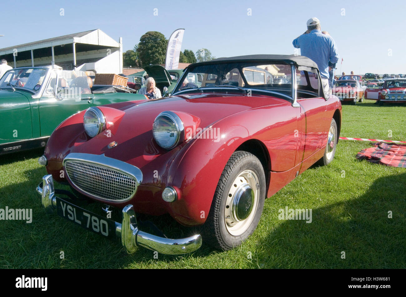 austin healey frogeyed sprite frogeye frog eye Stock Photo - Alamy