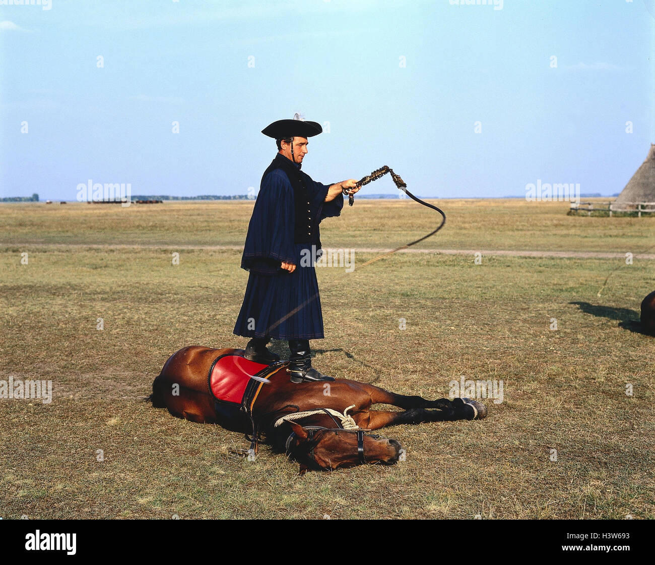 Hungarians, Hortobagy-Puszta, bleed festival, Csikos, shepherd, horse ...