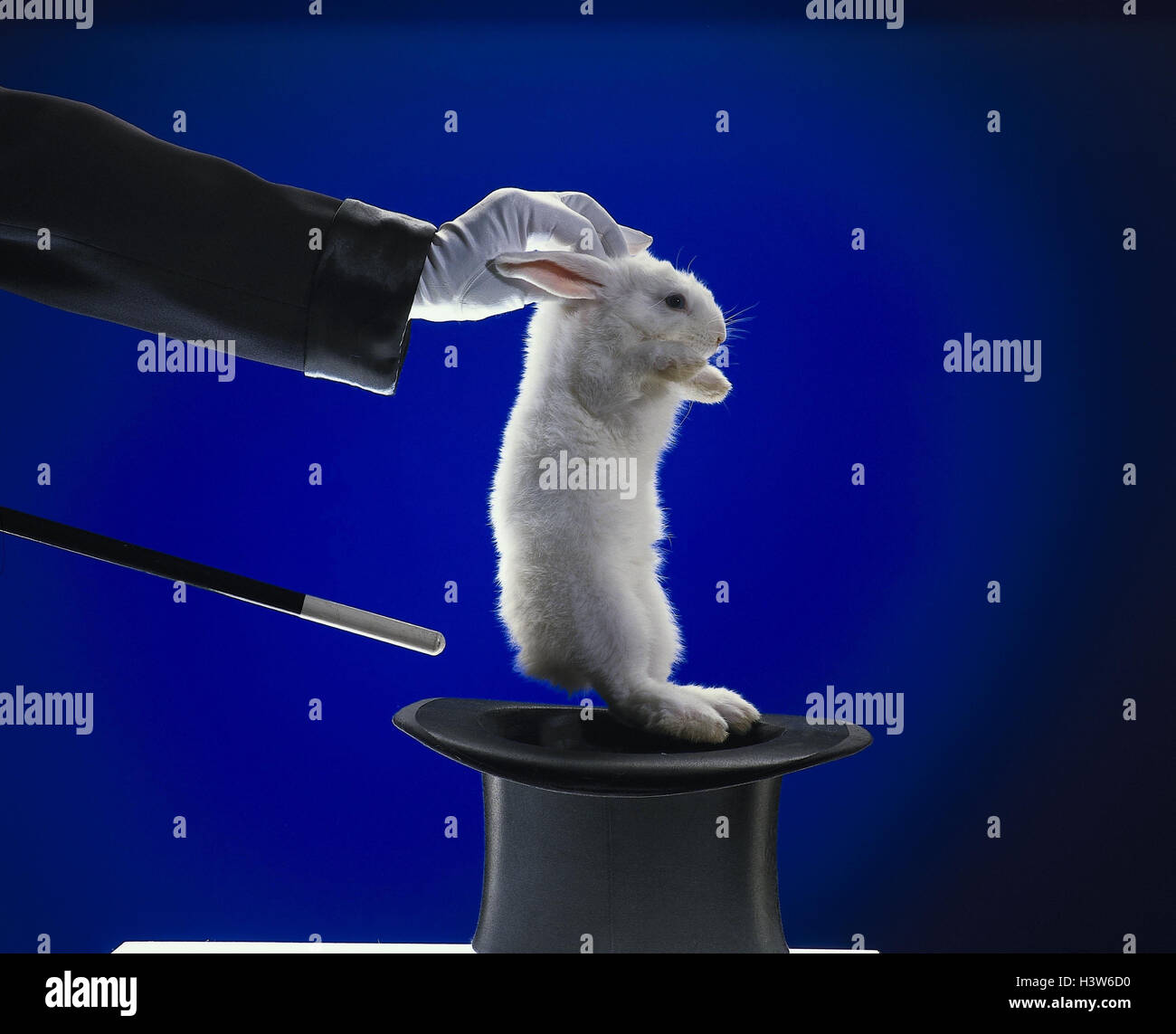 Magicians wand hi-res stock photography and images - Alamy