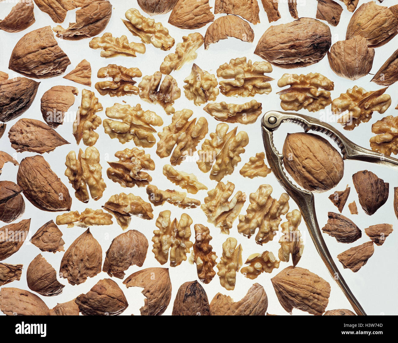 Welsch hi-res stock photography and images - Alamy