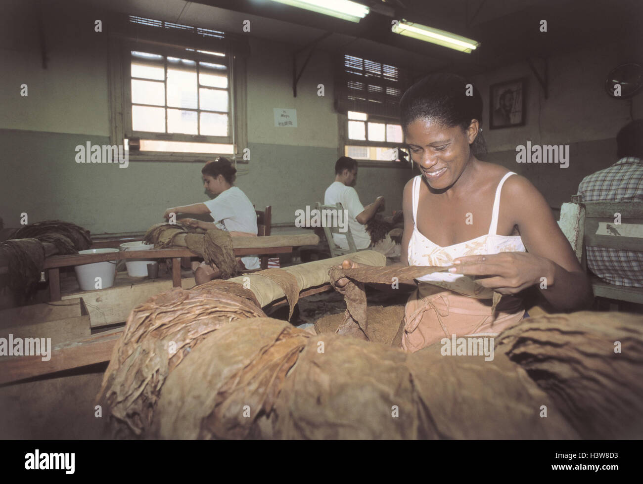 Tobacco processing products hi-res stock photography and images - Alamy