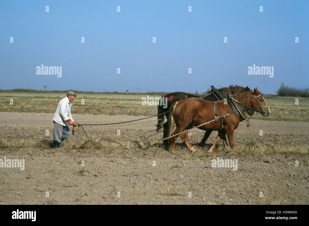 Pawn ploughs field with horse's motorcycle combination, Pole, plough ...