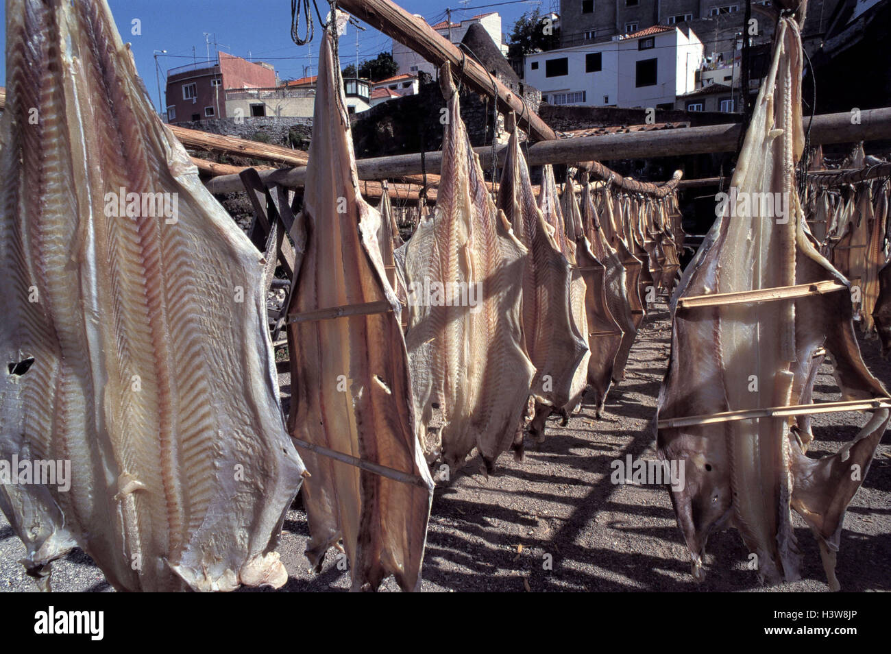 Trying rack for fish hi-res stock photography and images - Alamy