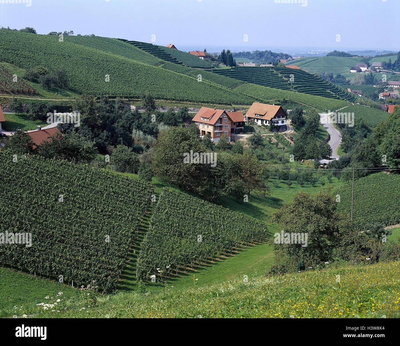 Germany, Baden-Wurttemberg, Black Forest, close Ottenhöfen, residential ...